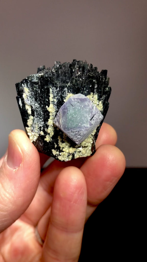 Schorl Tourmaline w/ Fluorite, Erongo, Namibia - Summit's Steps Minerals